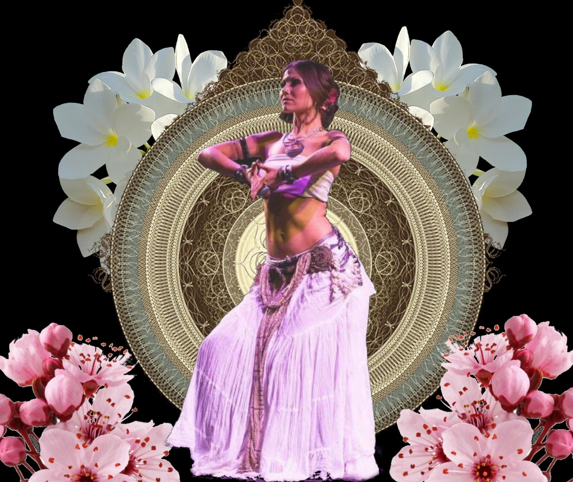 SEER movement — The Heroines Path