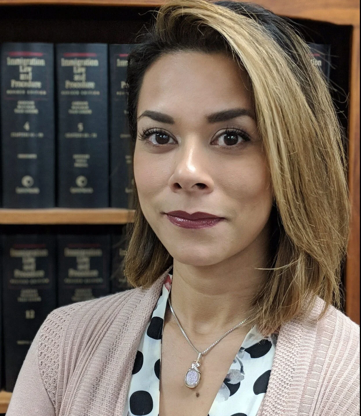 Our Team — Levesque Law PLLC