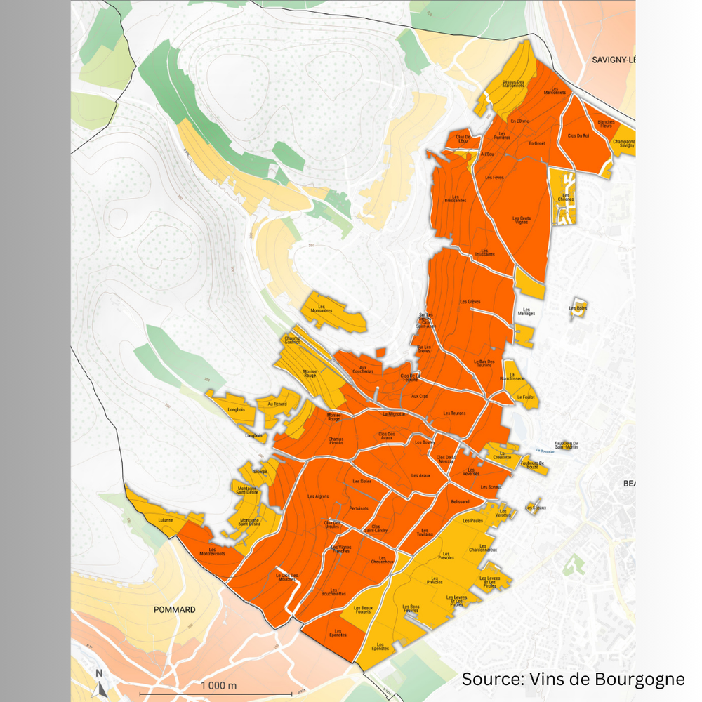 DIVING INTO BURGUNDY: BEAUNE AOC — Wineitupanotch - Bringing Wine To Life