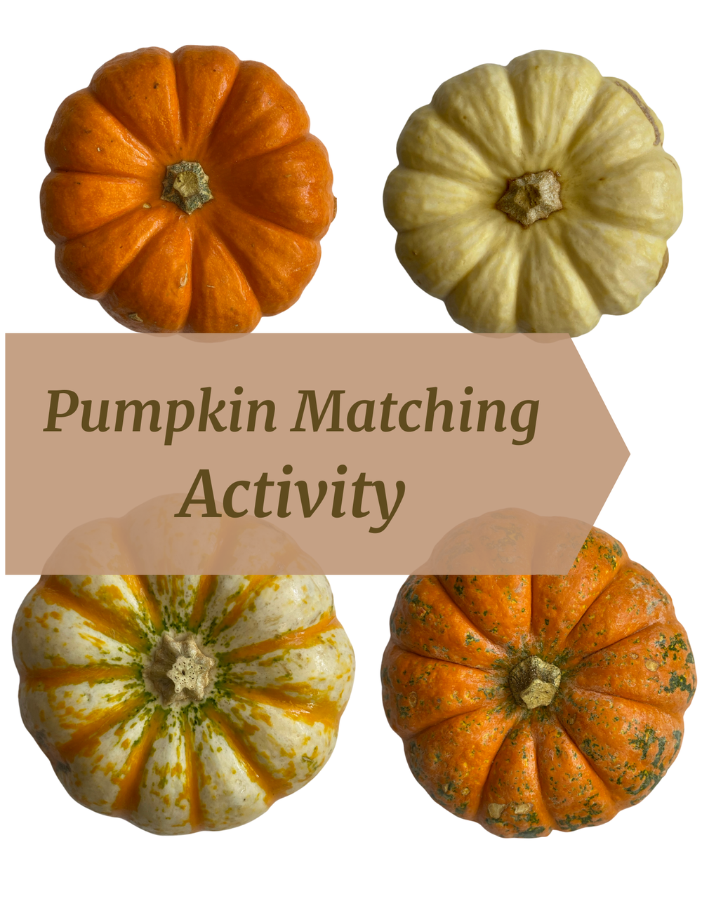 Shop Nature/Farm School Classes & Montessori Resources — Little Farm ...