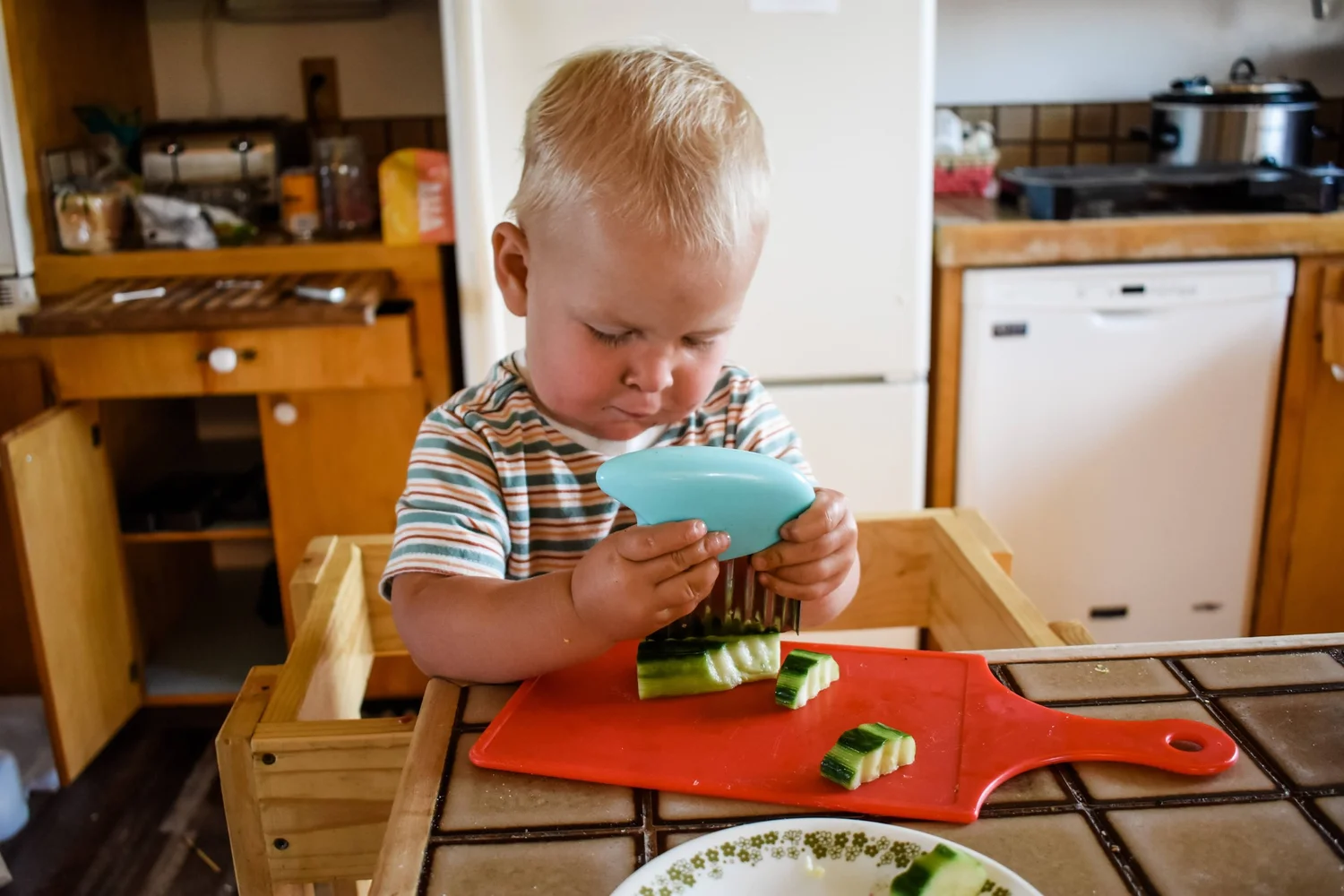 E-Courses — Little Farm Montessori