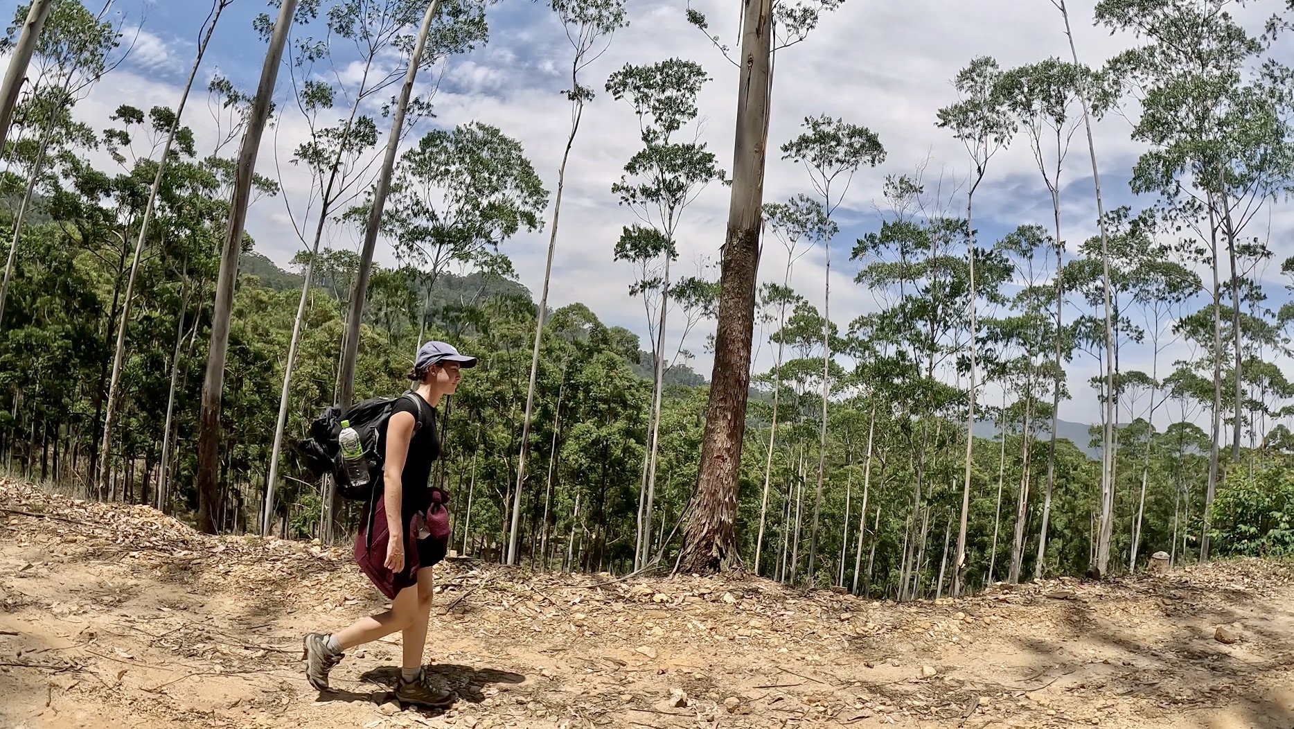 Hiking Sri Lanka’s Pekoe Trail: Essential information (2024) — Lydia ...