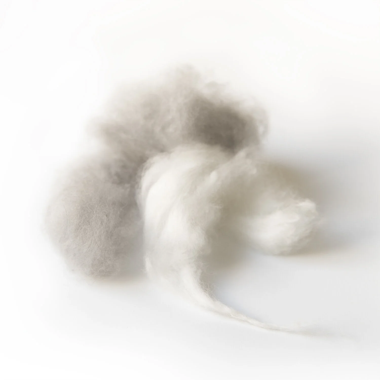 Shop Local Small Farms, Olean NY — WING & WOOL