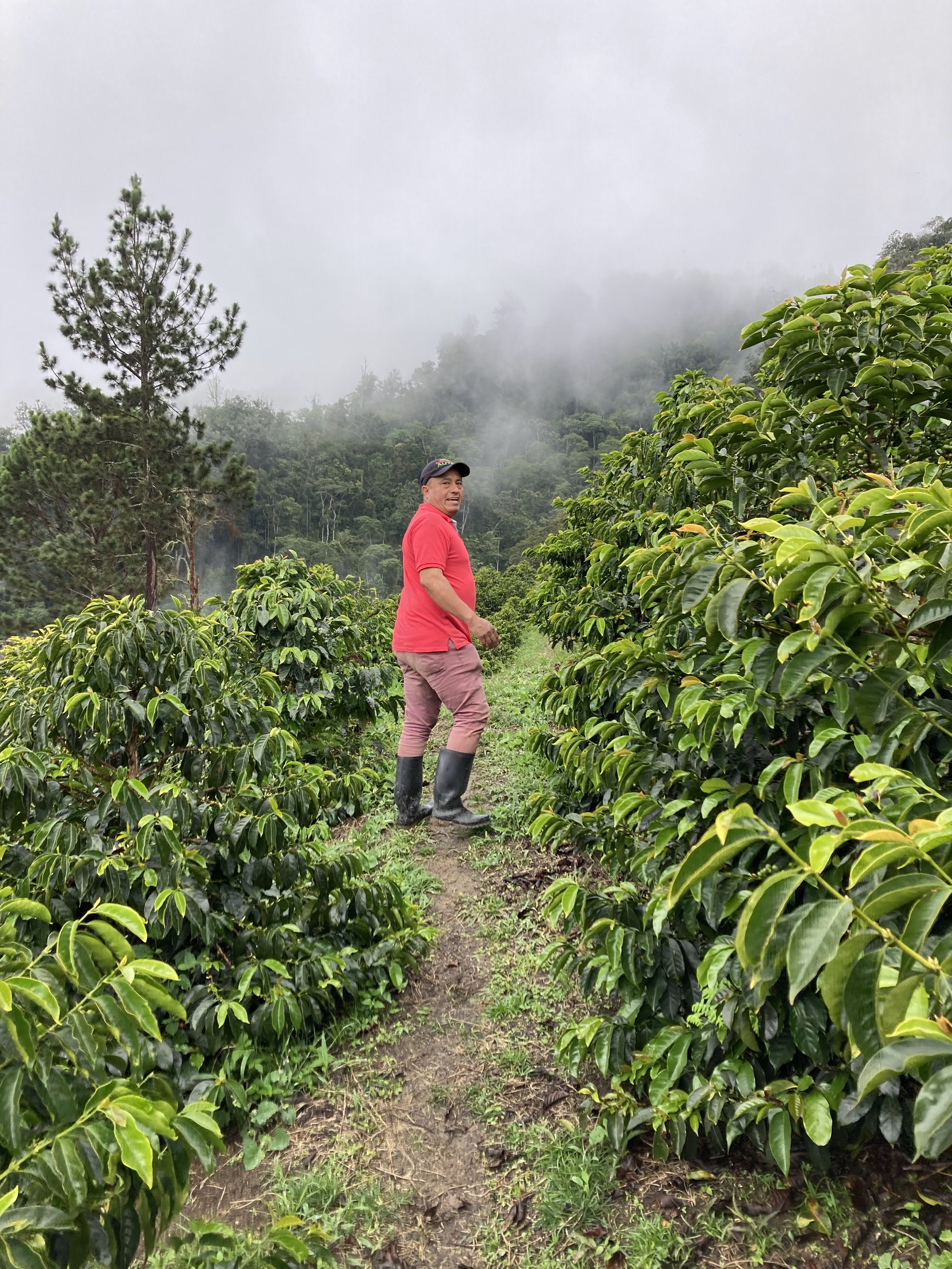 Shop — Afterglow Coffee Cooperative
