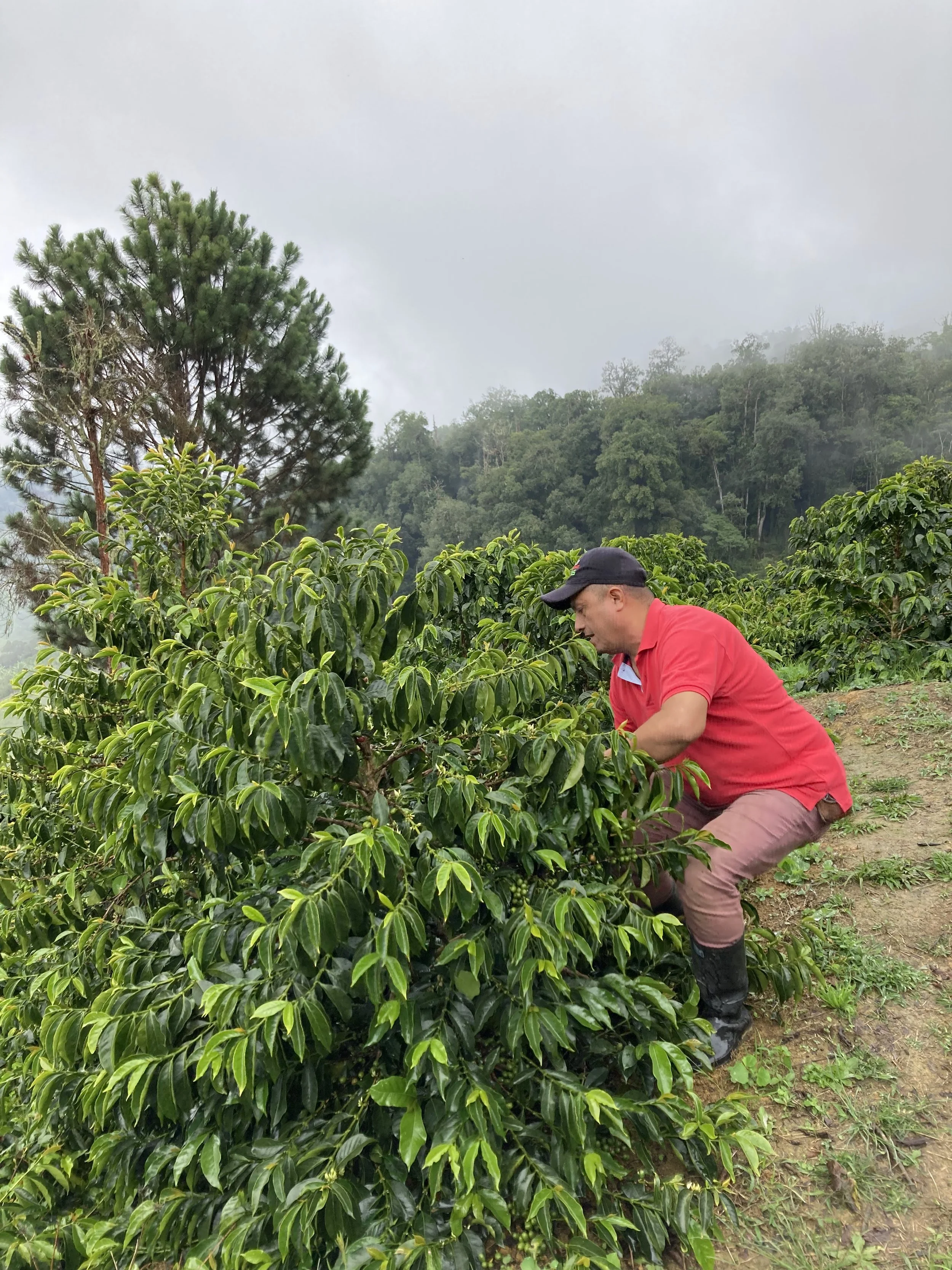 Shop — Afterglow Coffee Cooperative