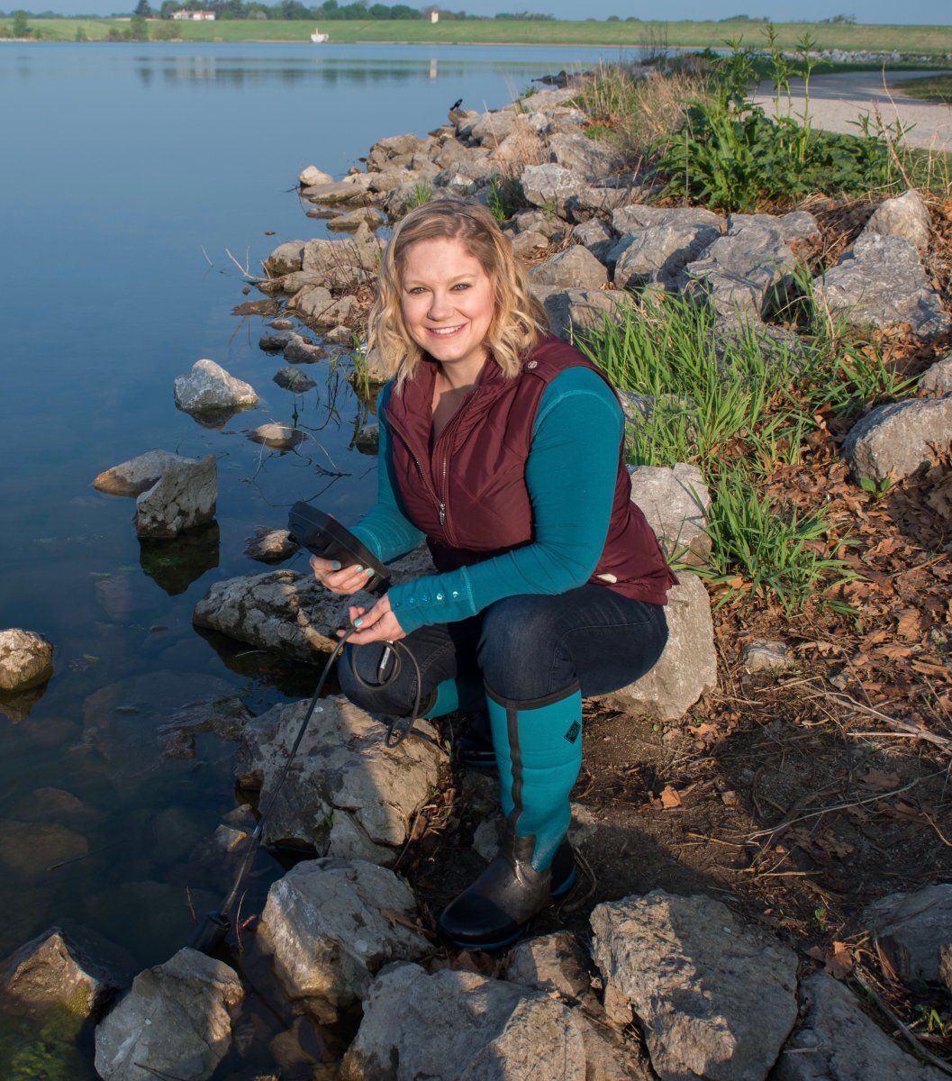 mesoTeam — mesoProgram