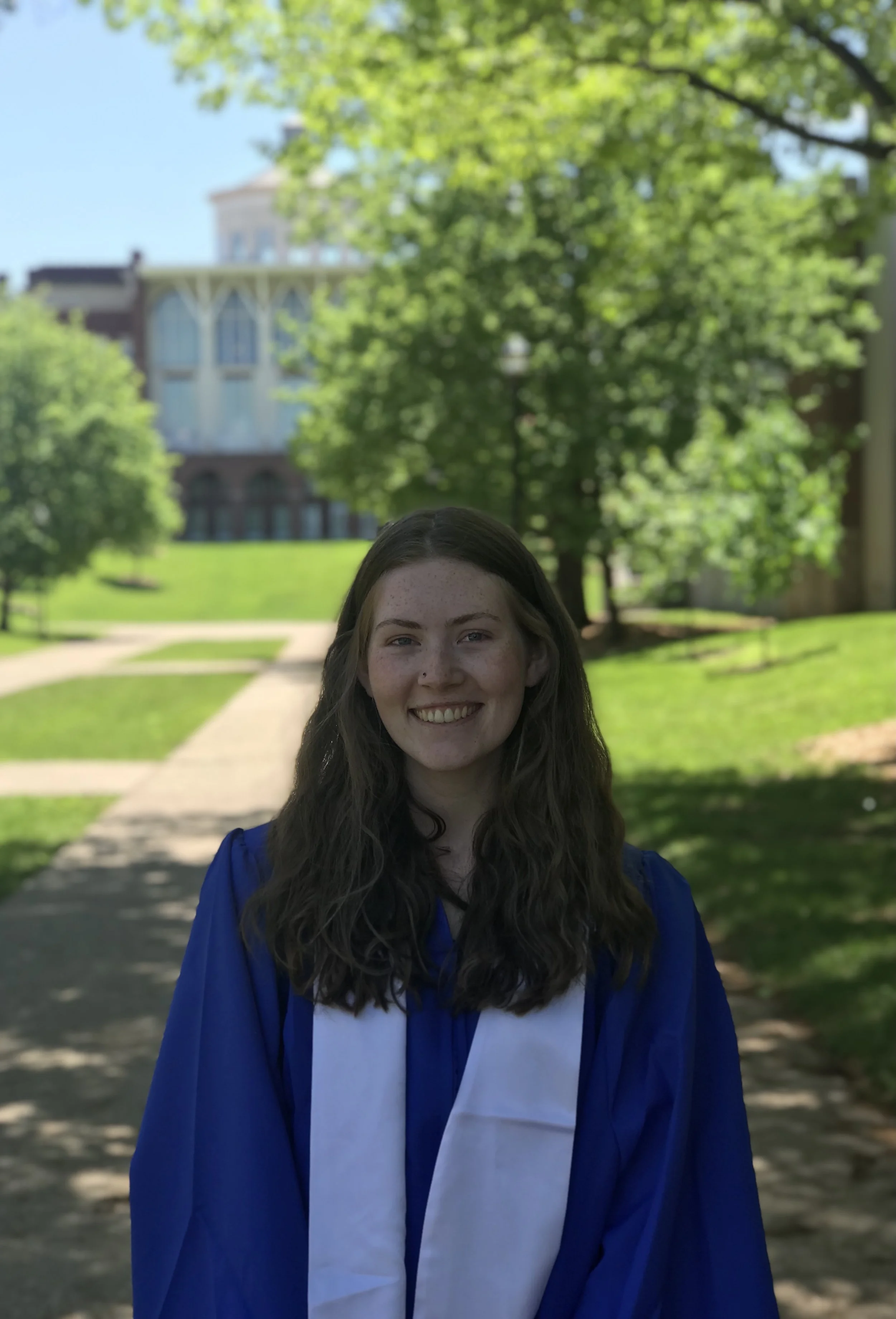 mesoTeam — mesoProgram