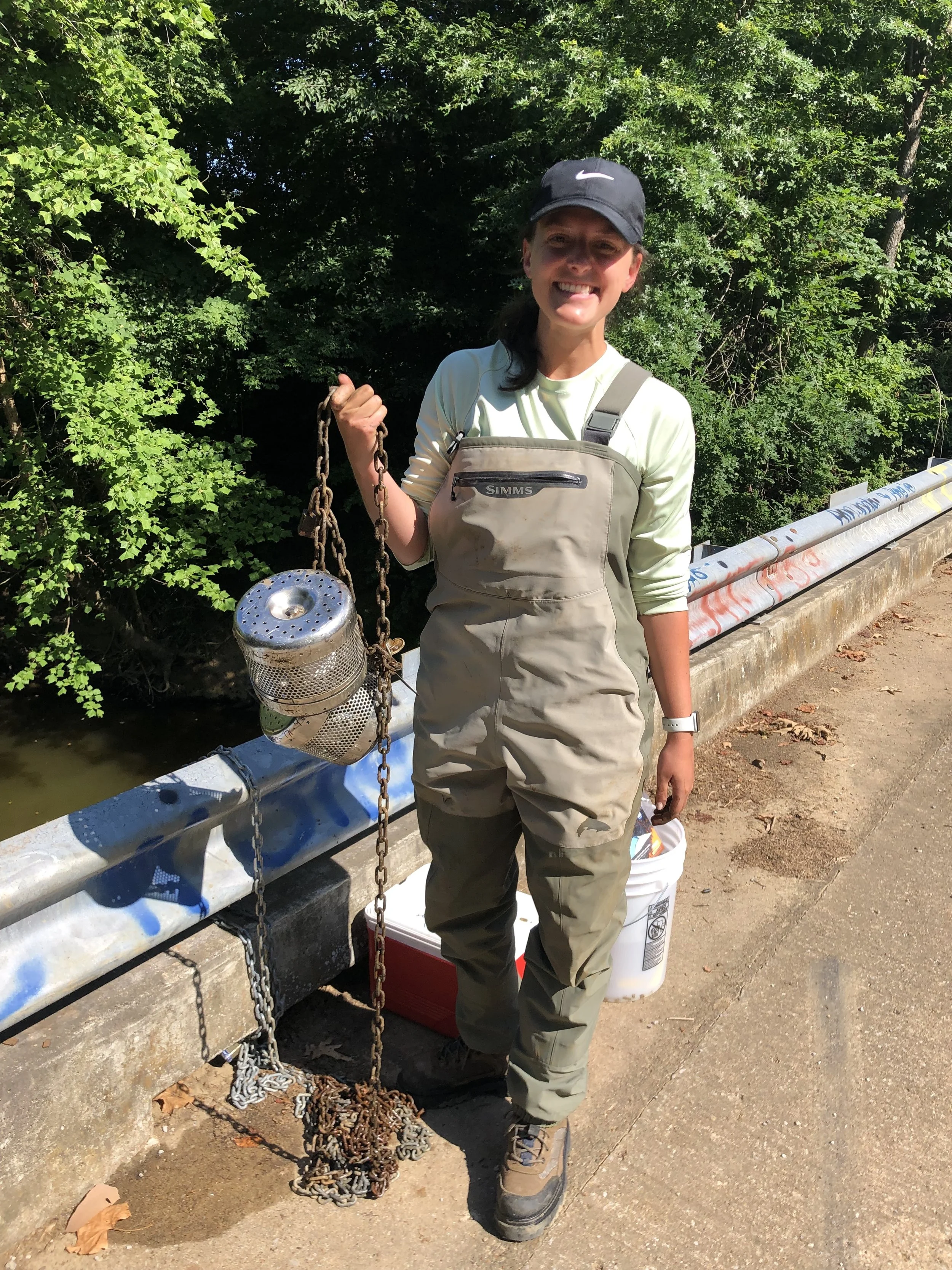 mesoTeam — mesoProgram