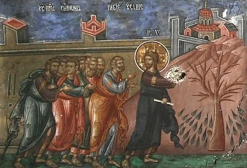 The Fig Tree — Gospel stories of Jesus