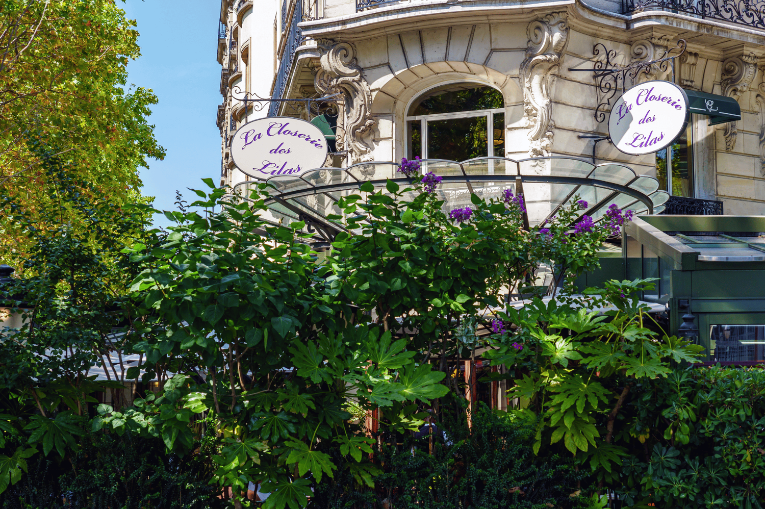 10 Famous Paris Cafés You Can’t Miss in 2026