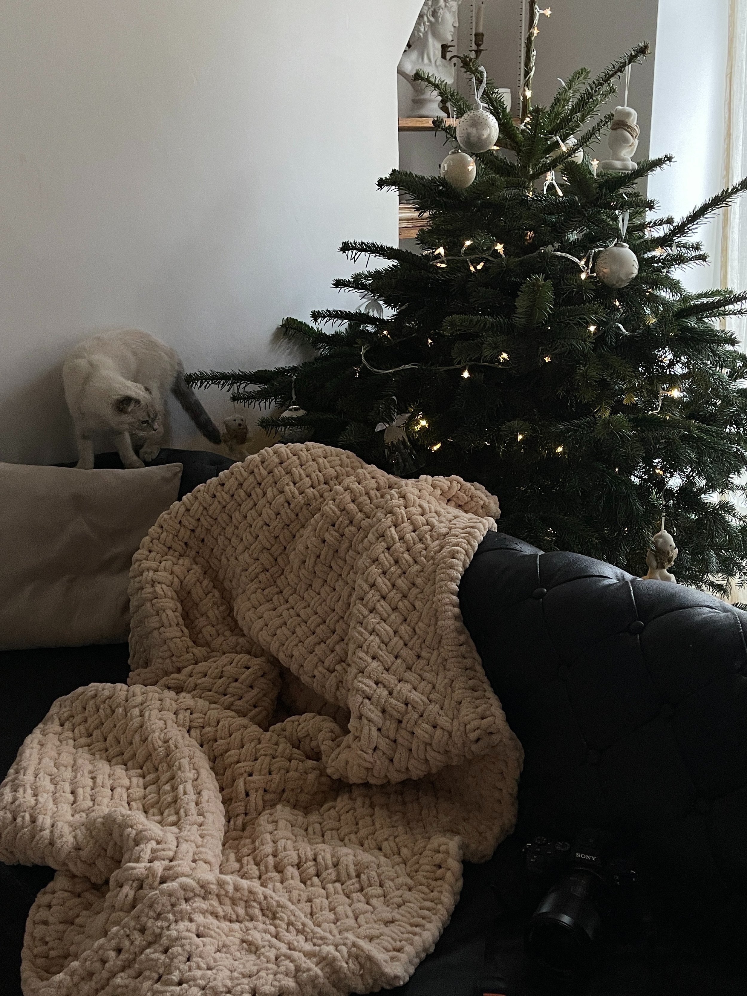 Advice for Spending the Holiday Season Alone