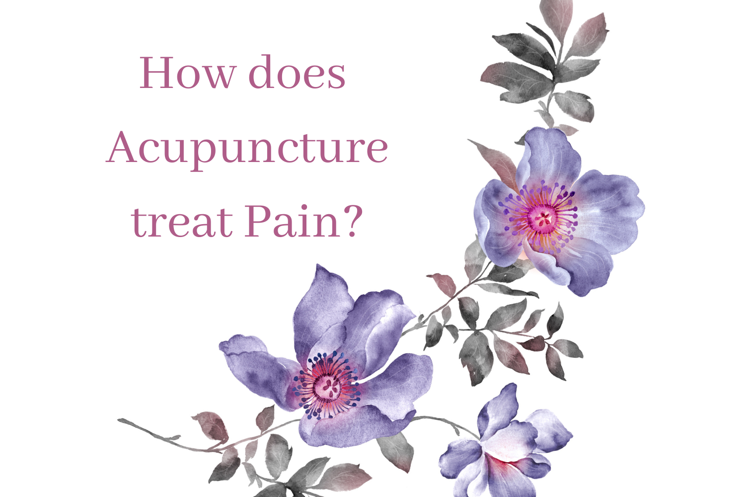 Lindsay Rusk Acupuncture