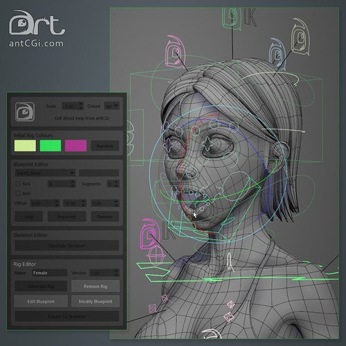 antCGi Store — antCGi