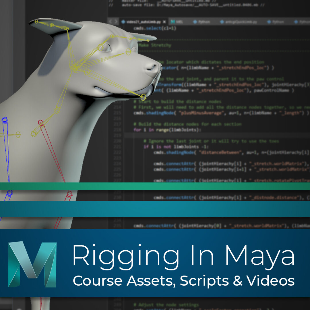 antCGi Store — antCGi