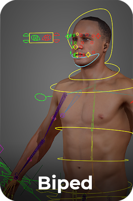 Learn To Rig in Autodesk Maya — antCGi
