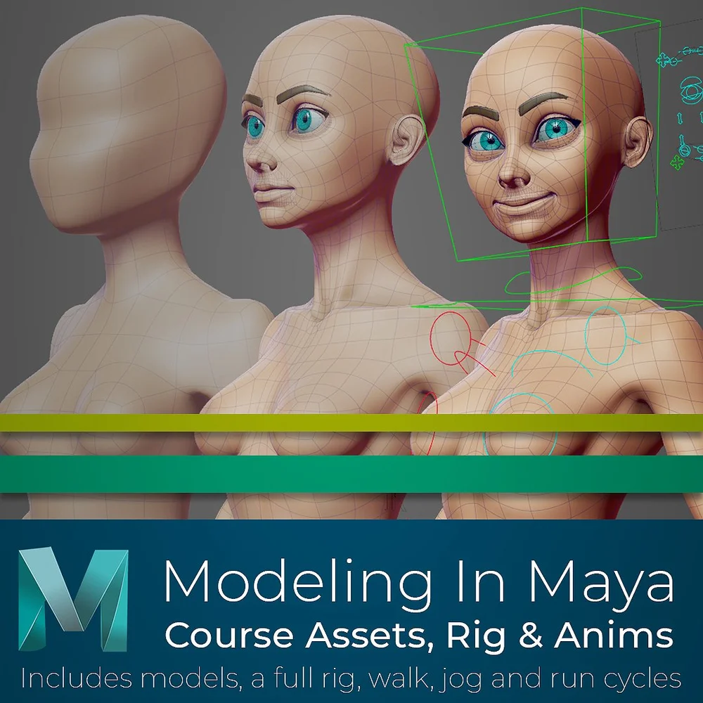 antCGi Store — antCGi