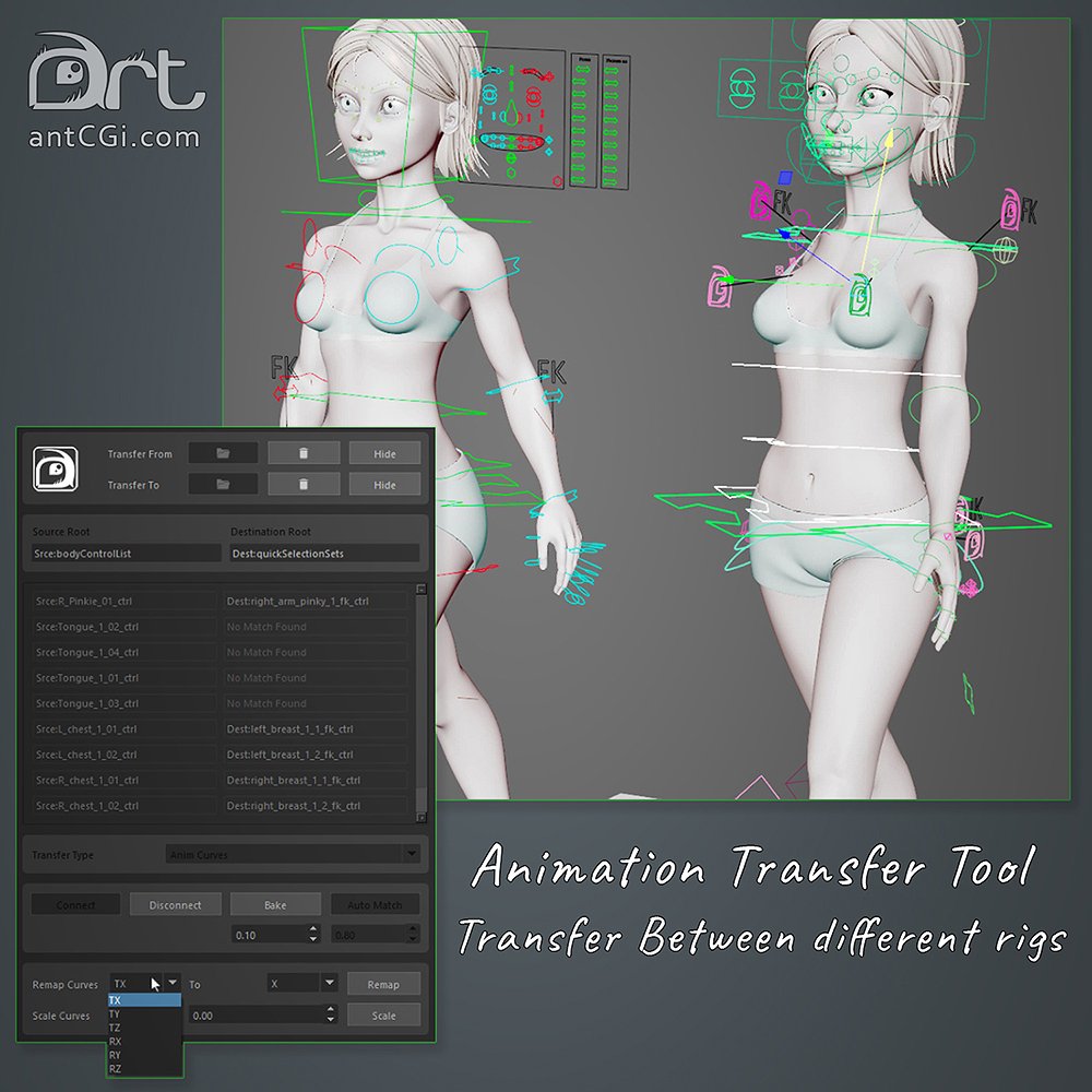 antCGi Store — antCGi