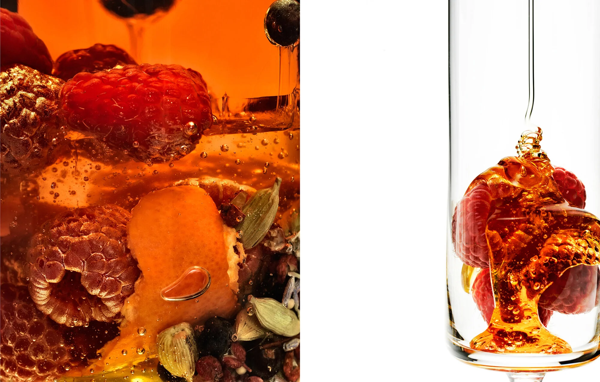 Rob Grimm Photography