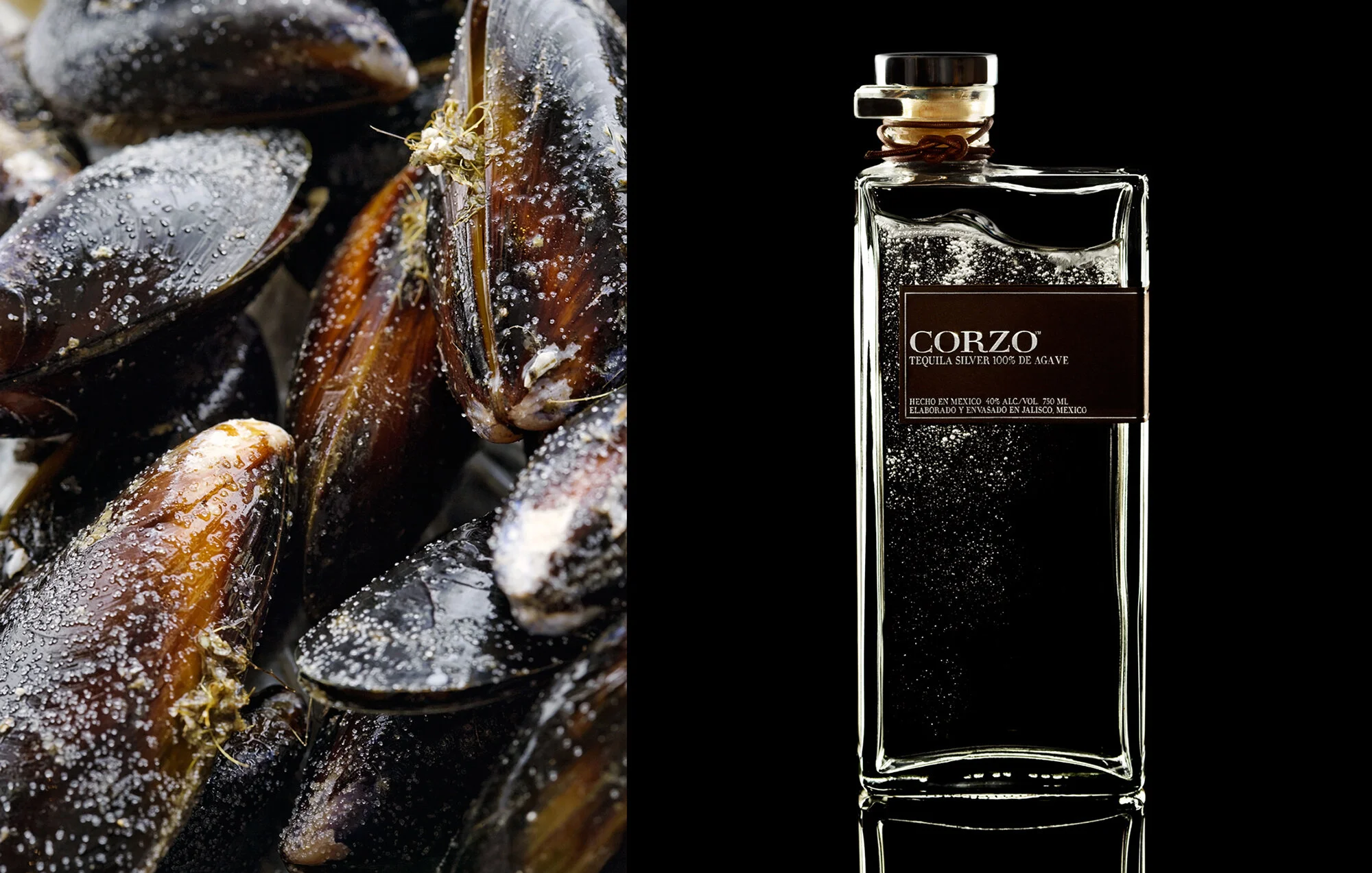 Rob Grimm Photography