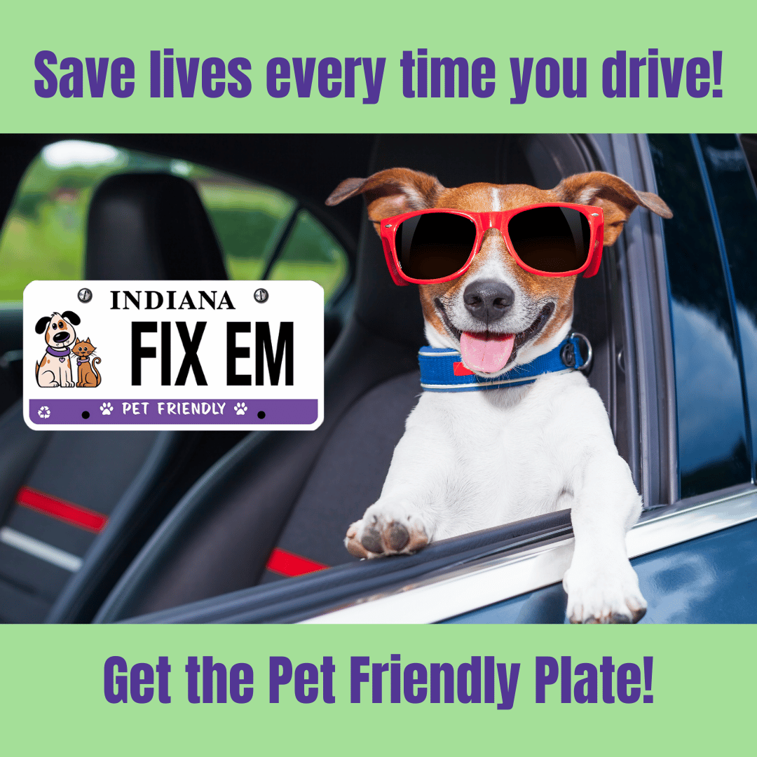Gallery 3 — Huntington County Humane Society