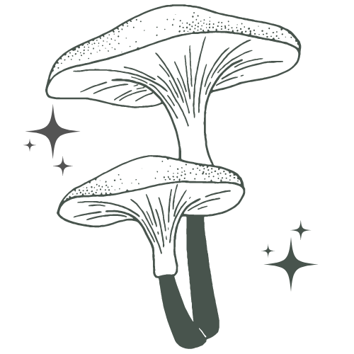 The Ones We Burn — rebecca mix