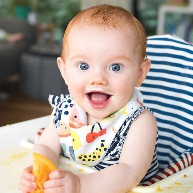 Step-by-Step Starting Solids to Baby [Guide] – Ready Set Grow