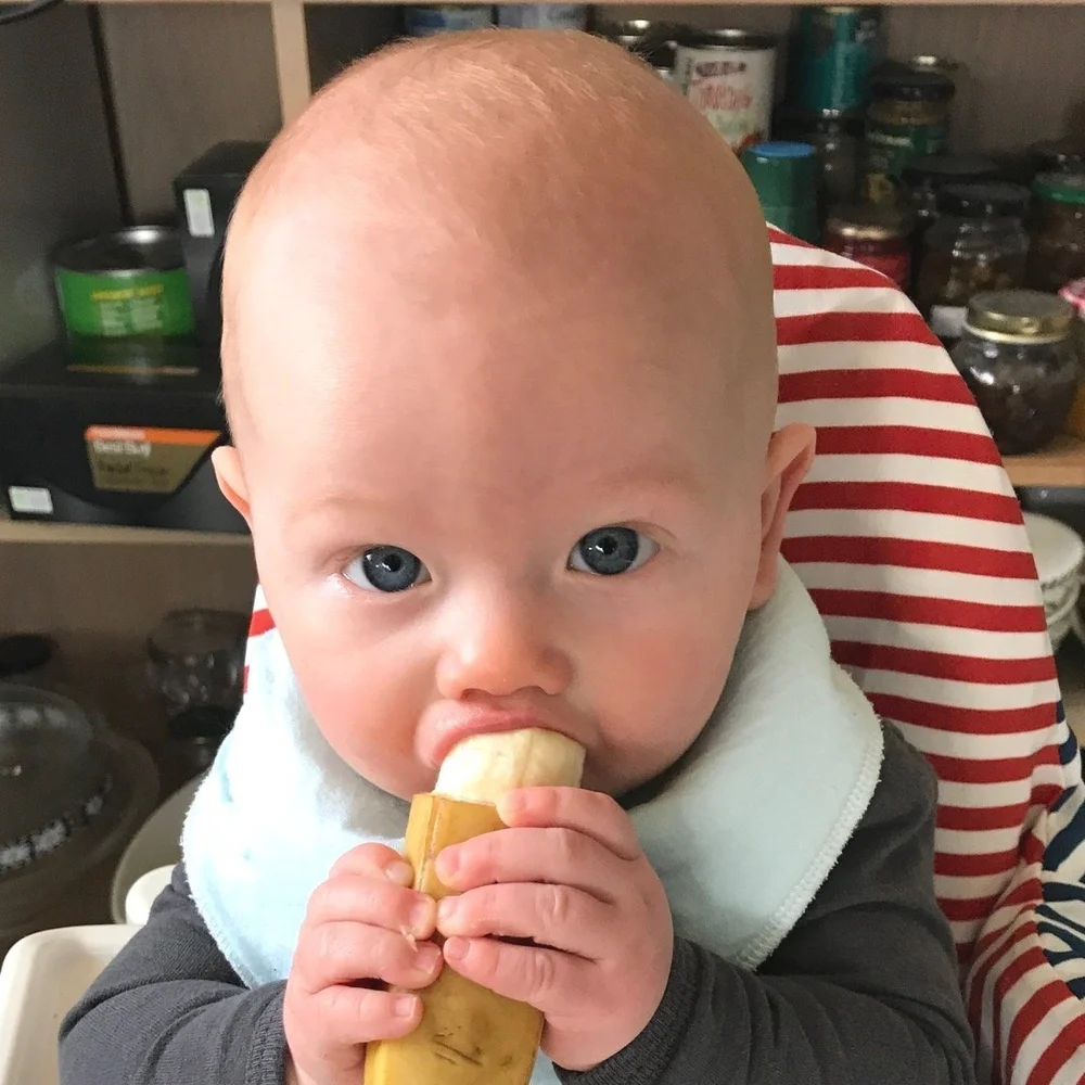 Step-by-Step Starting Solids to Baby [Guide] – Ready Set Grow