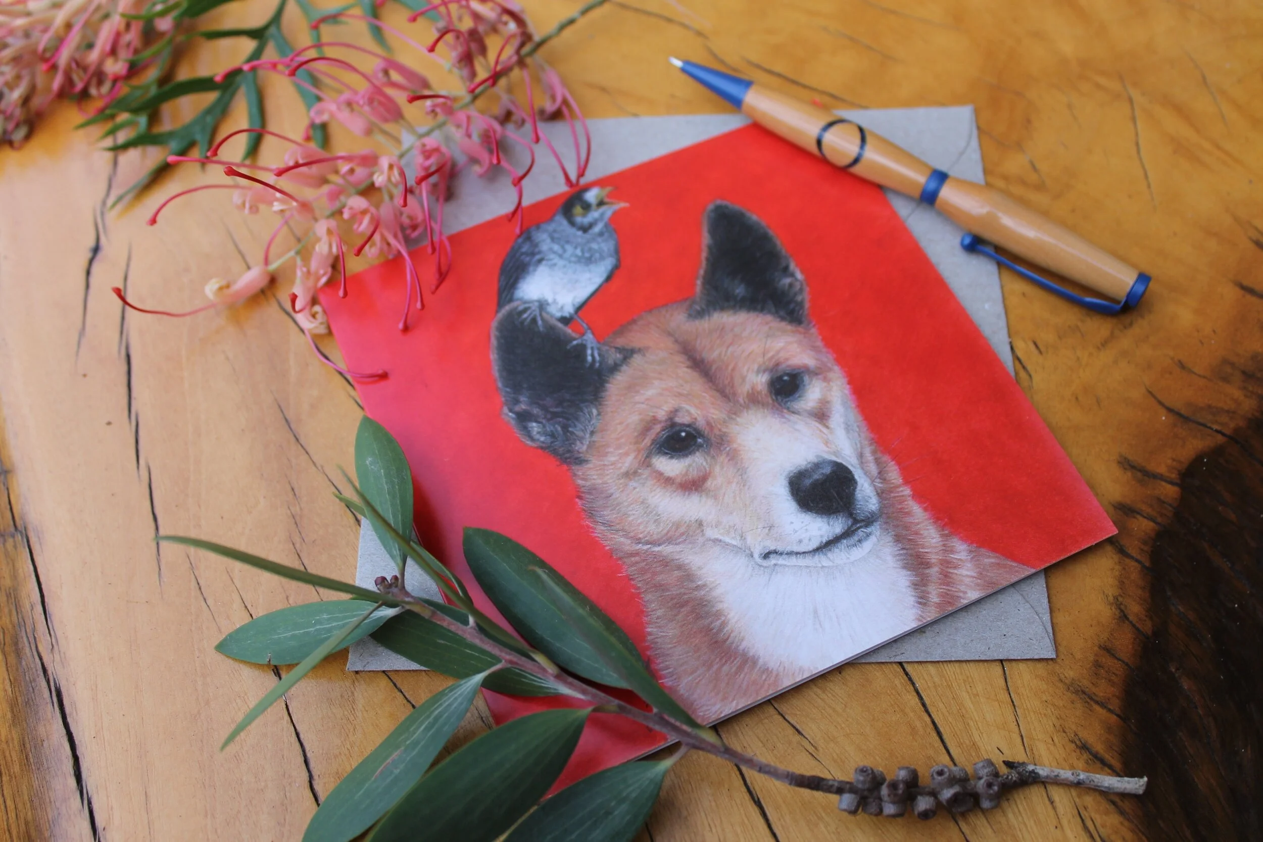 Are Dingo Noisy