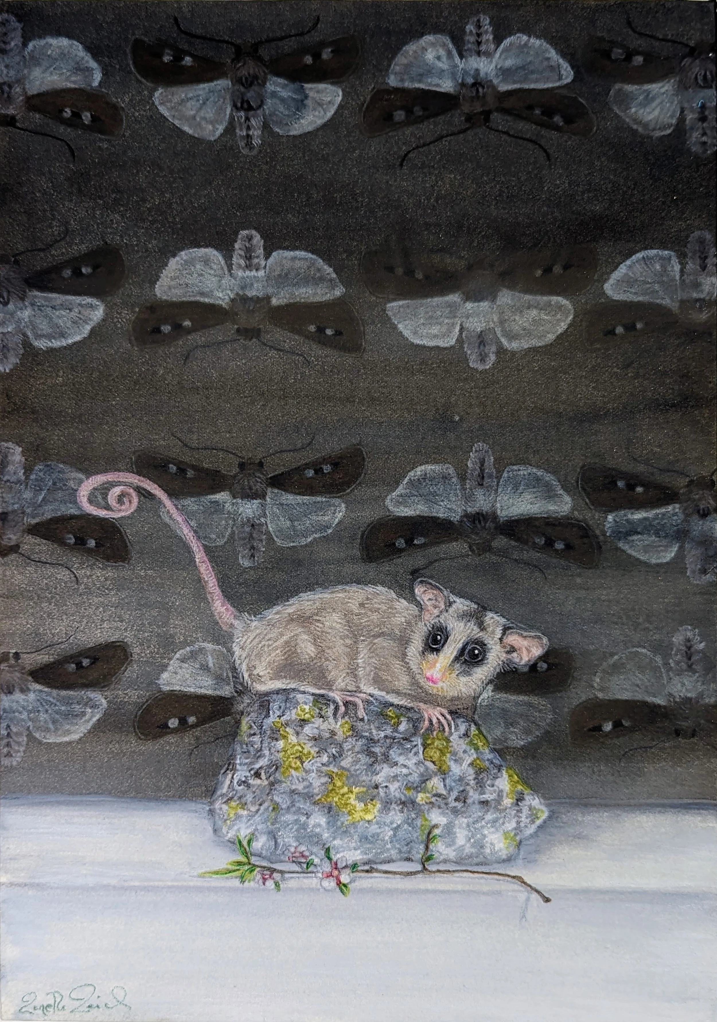 Shop — Ronelle Reid Artist