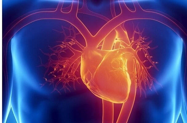 Fun Cardio Facts! — Specialised Health NZ