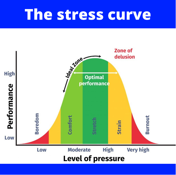 The Yin and Yang of Stress: Harnessing the Power of Good Stress ...