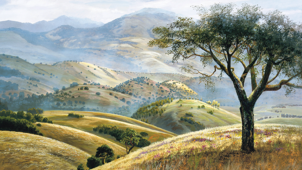 Mt Diablo — JSE Archuleta