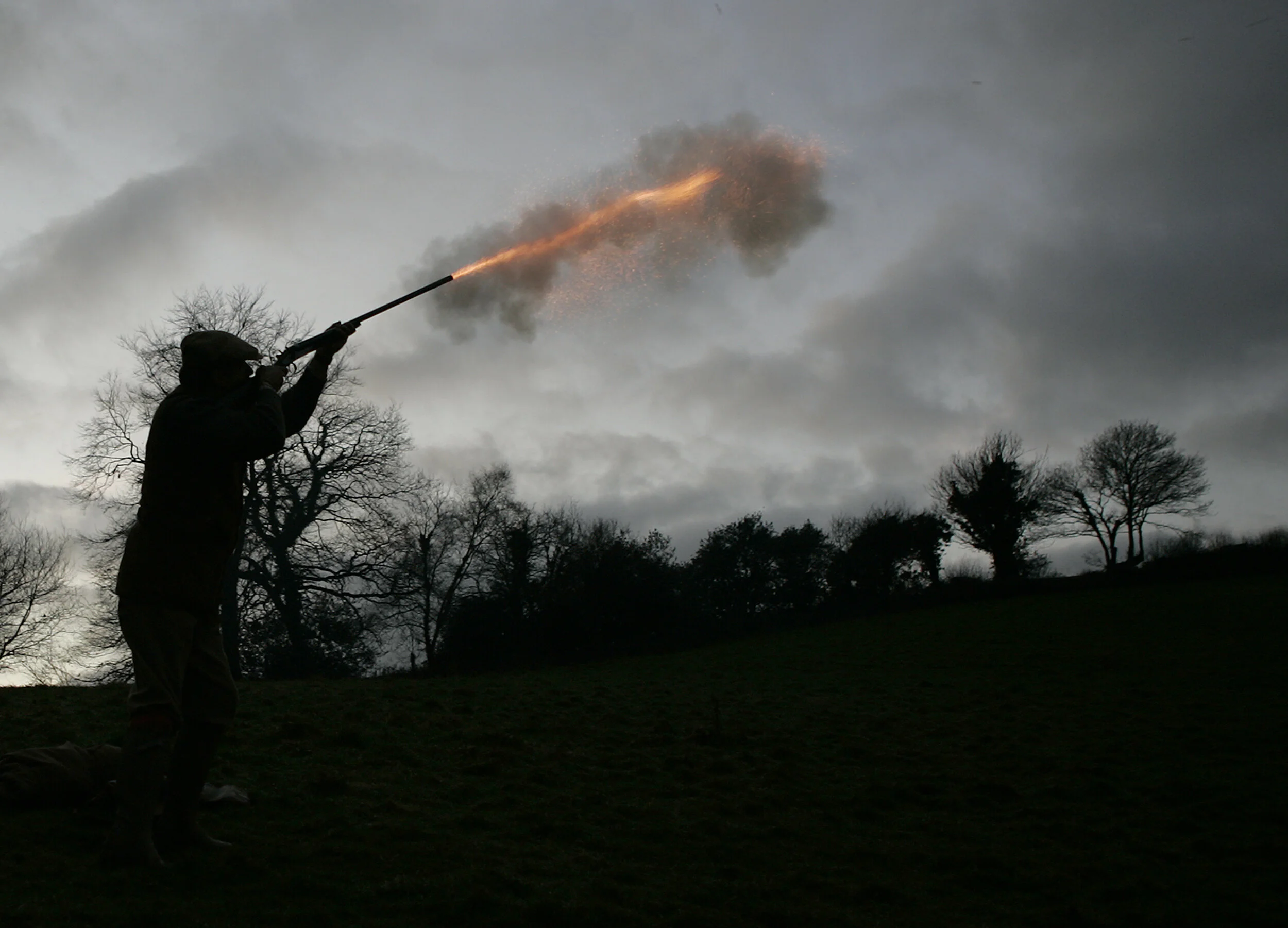 The Guild of Shooting Instructors
