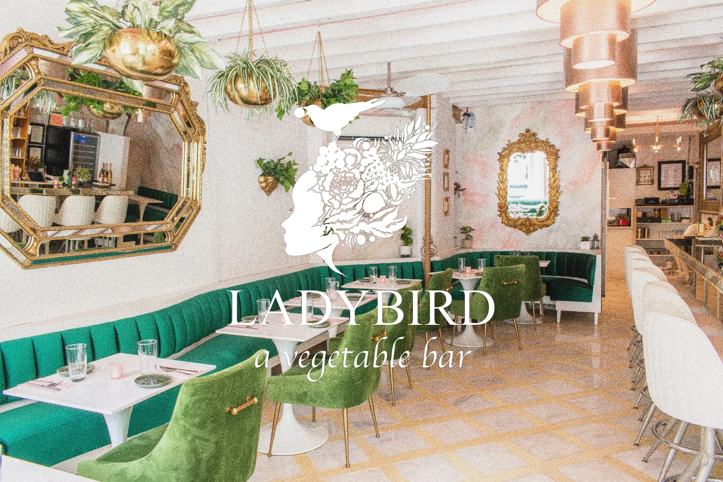 Overthrow Hospitality | Modern Vegan Dining in NYC