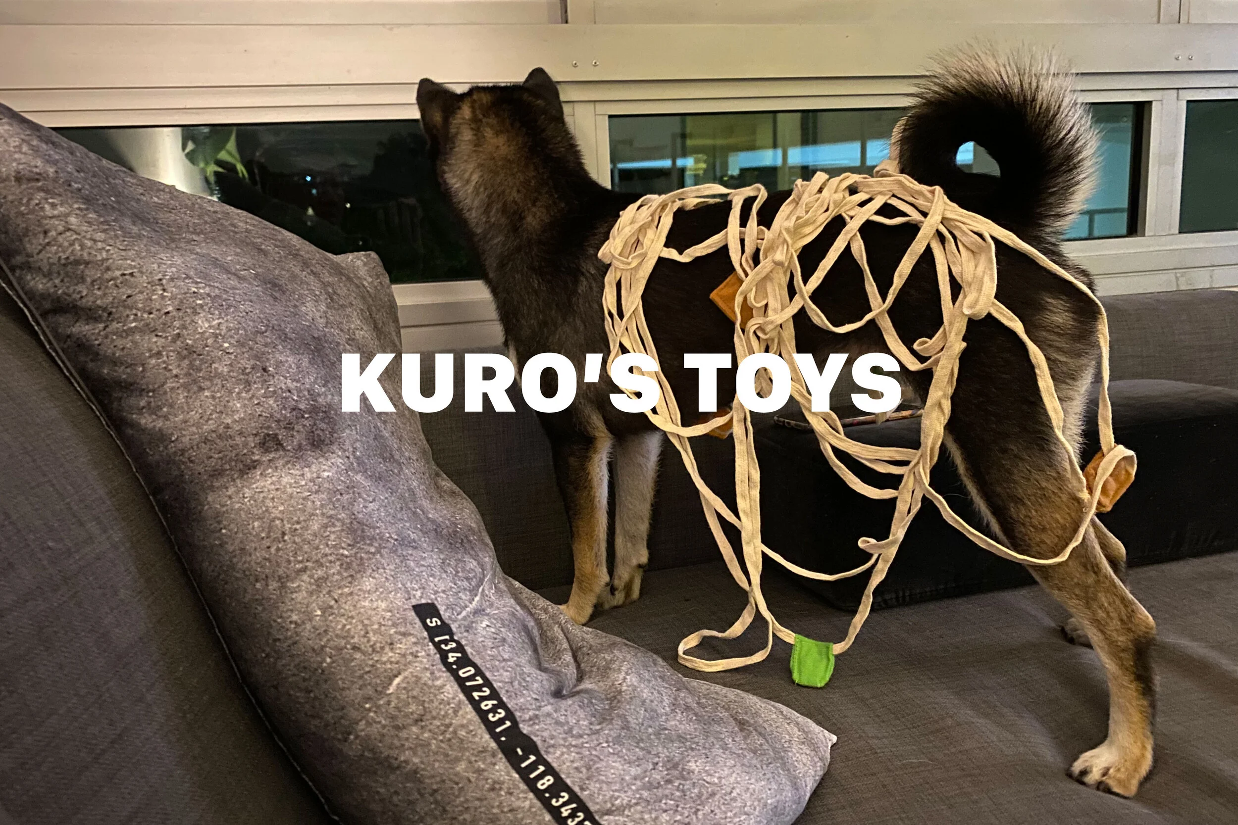 Kuro's Toys — Kuro Snacks