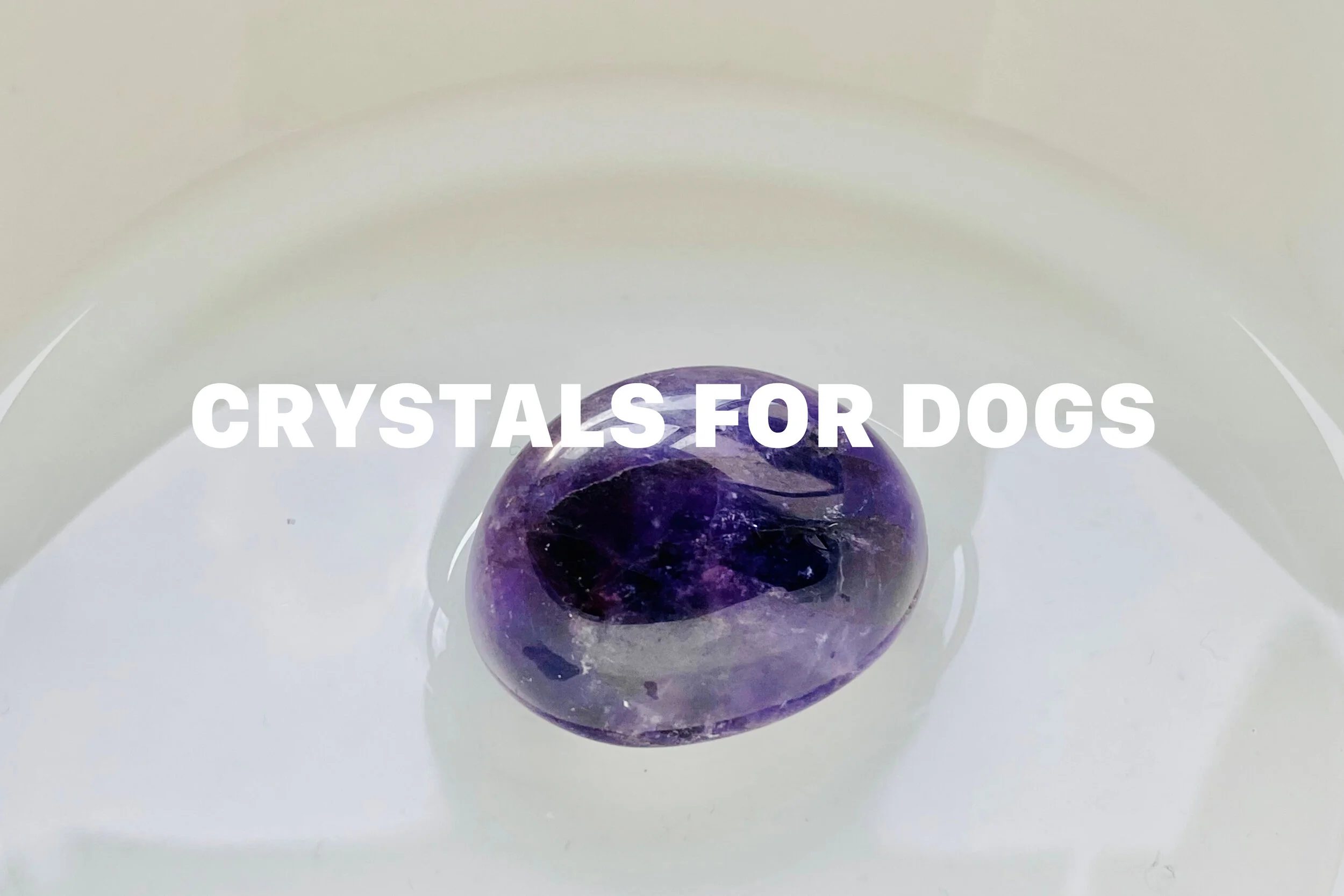 Crystals For Dogs (and Cats) — Kuro Snacks