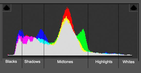 Beginners Guide To Reading a Histogram | Tim Monaghan Photography