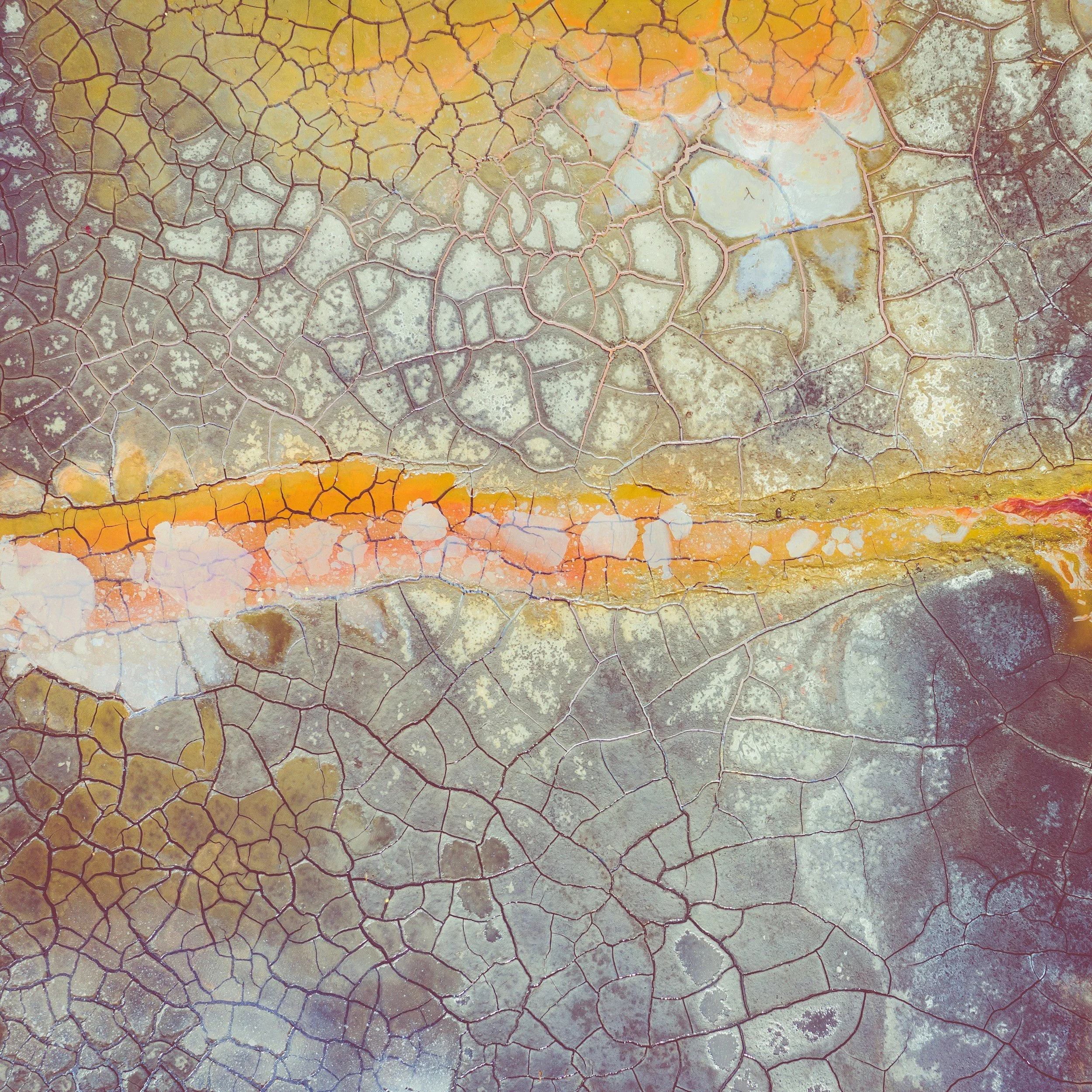 EcoPoetics — Sundog Poetry