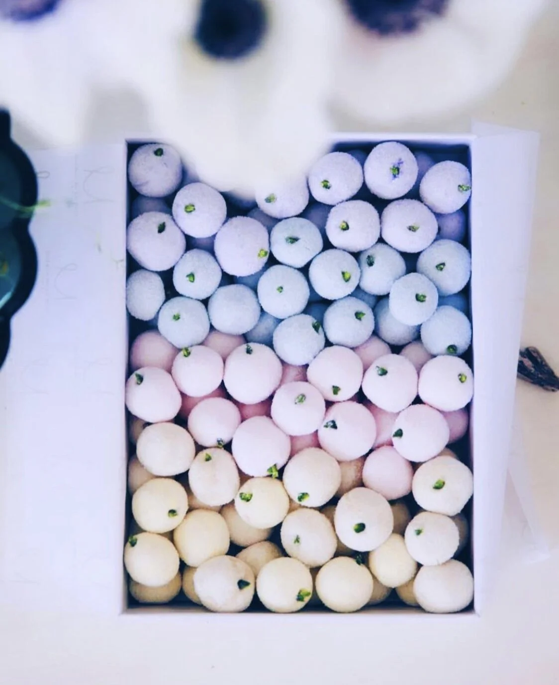 Pastel Almond Truffle (Toot) — Maison De La Fork