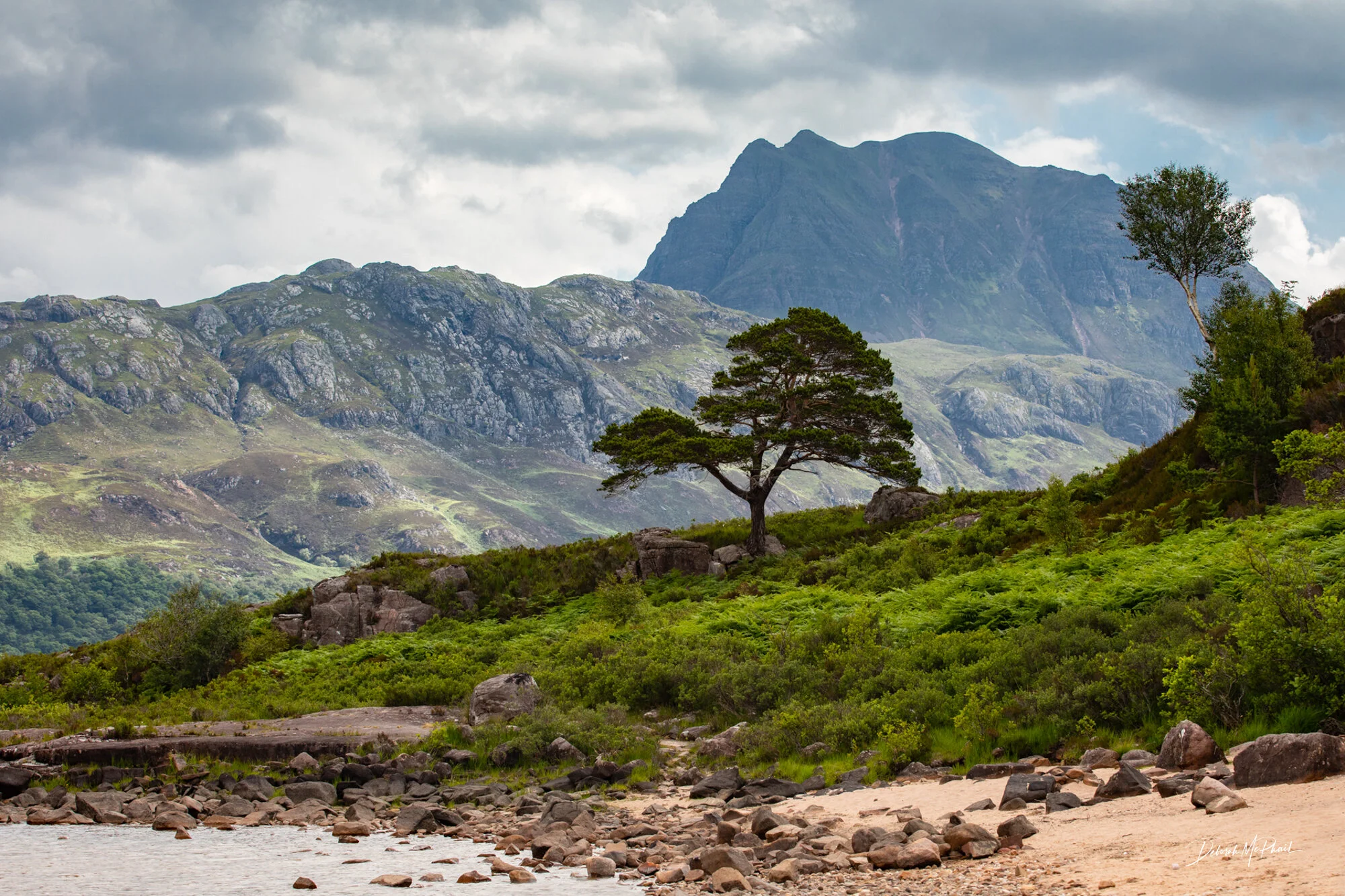 Deborah McPhail Photography