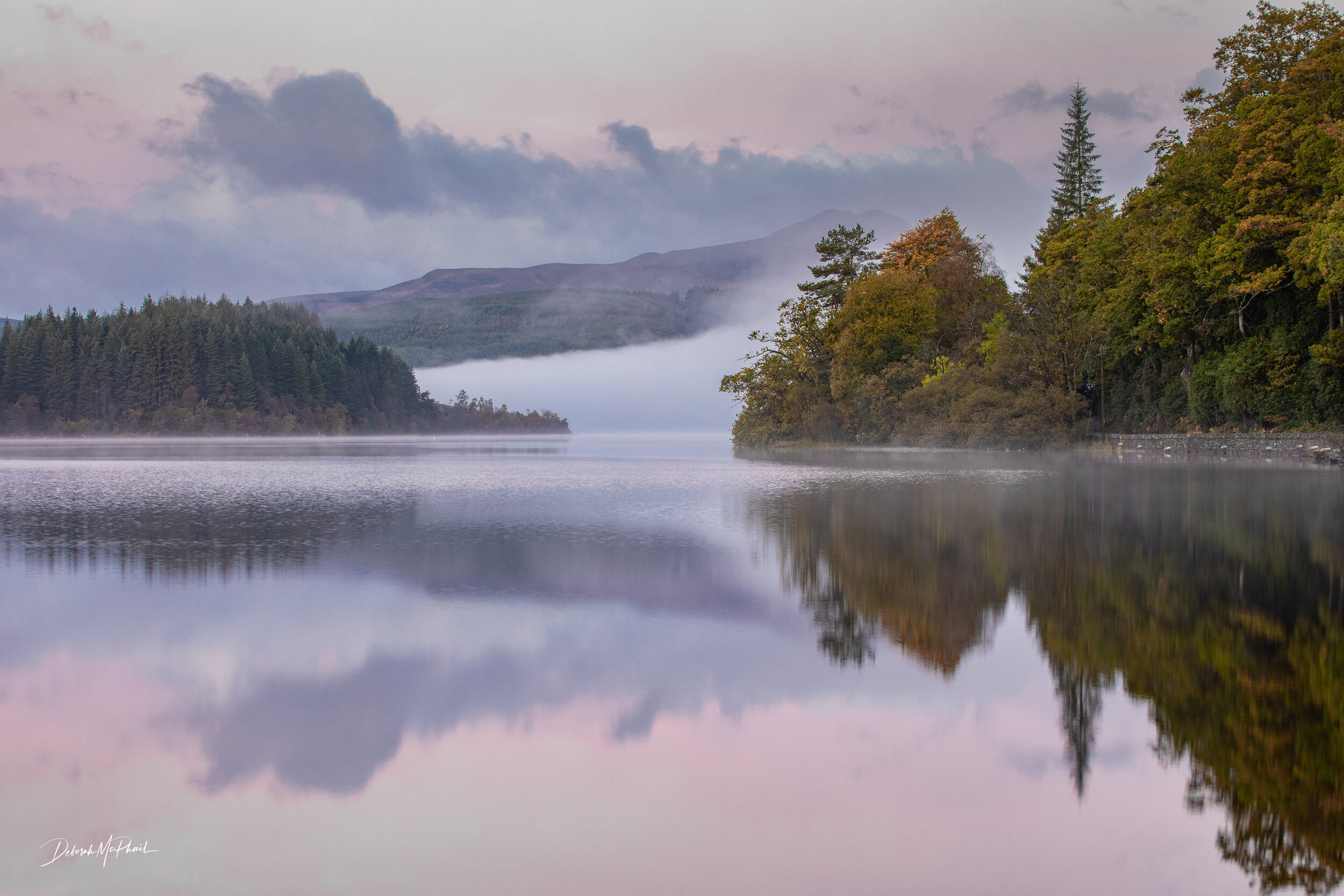 Deborah McPhail Photography