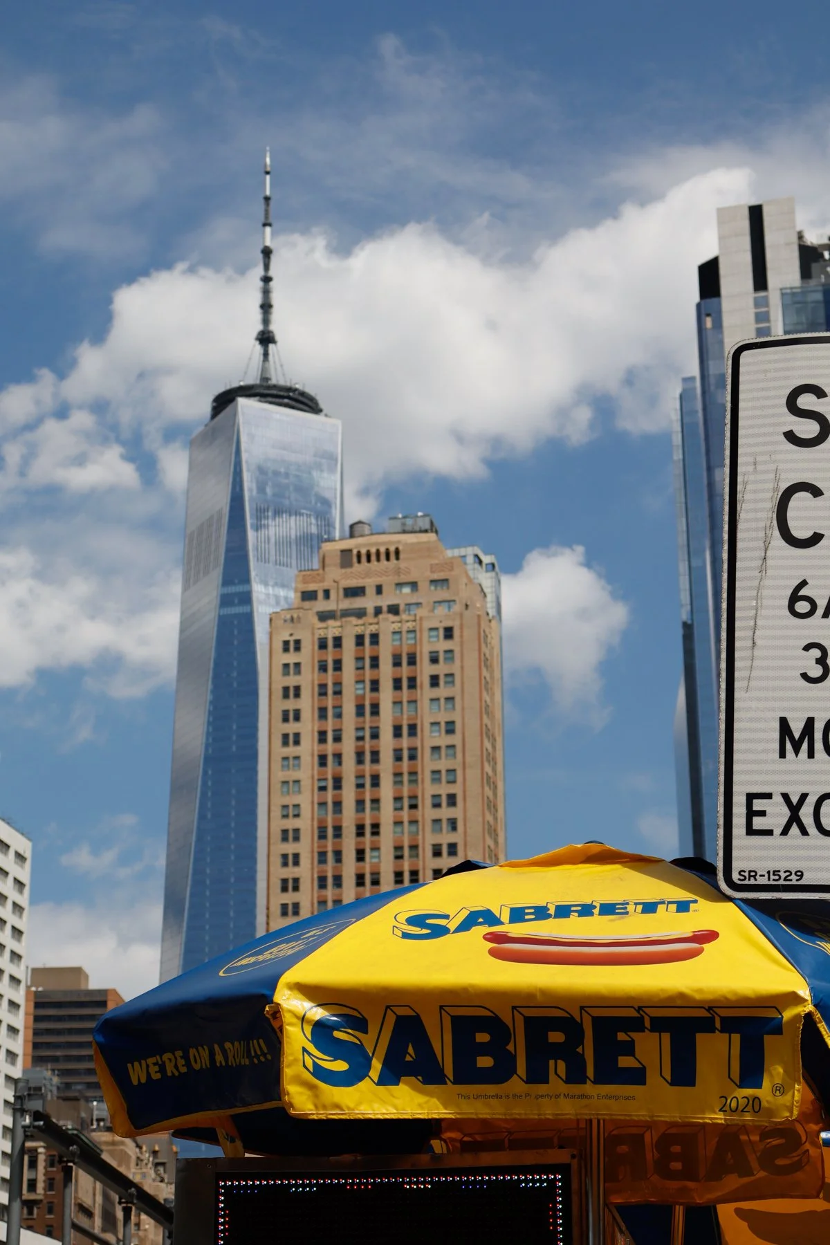 Canon EOS R100 Review and Photos (2024): A basic starter camera for all ...