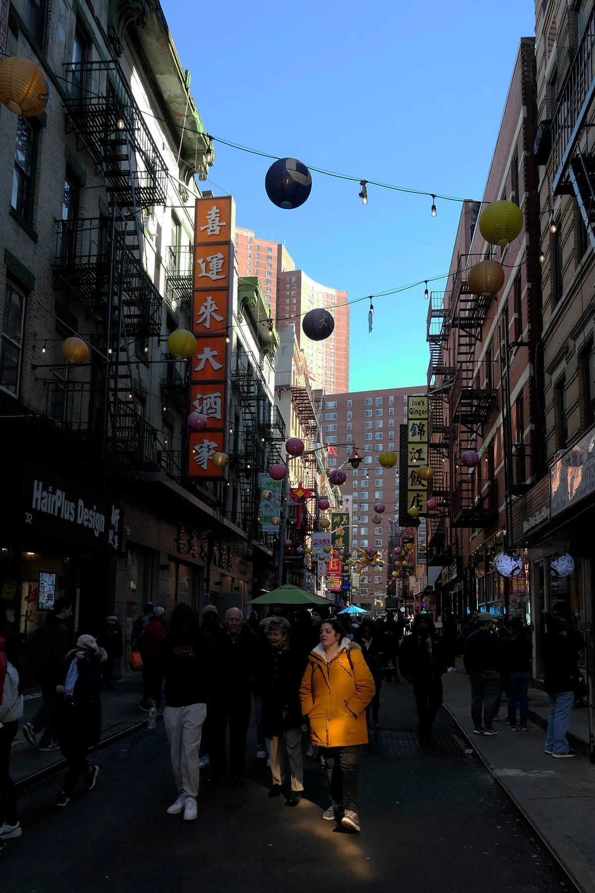 Panasonic Lumix ZS200D Review (2024): I might never use another camera ...