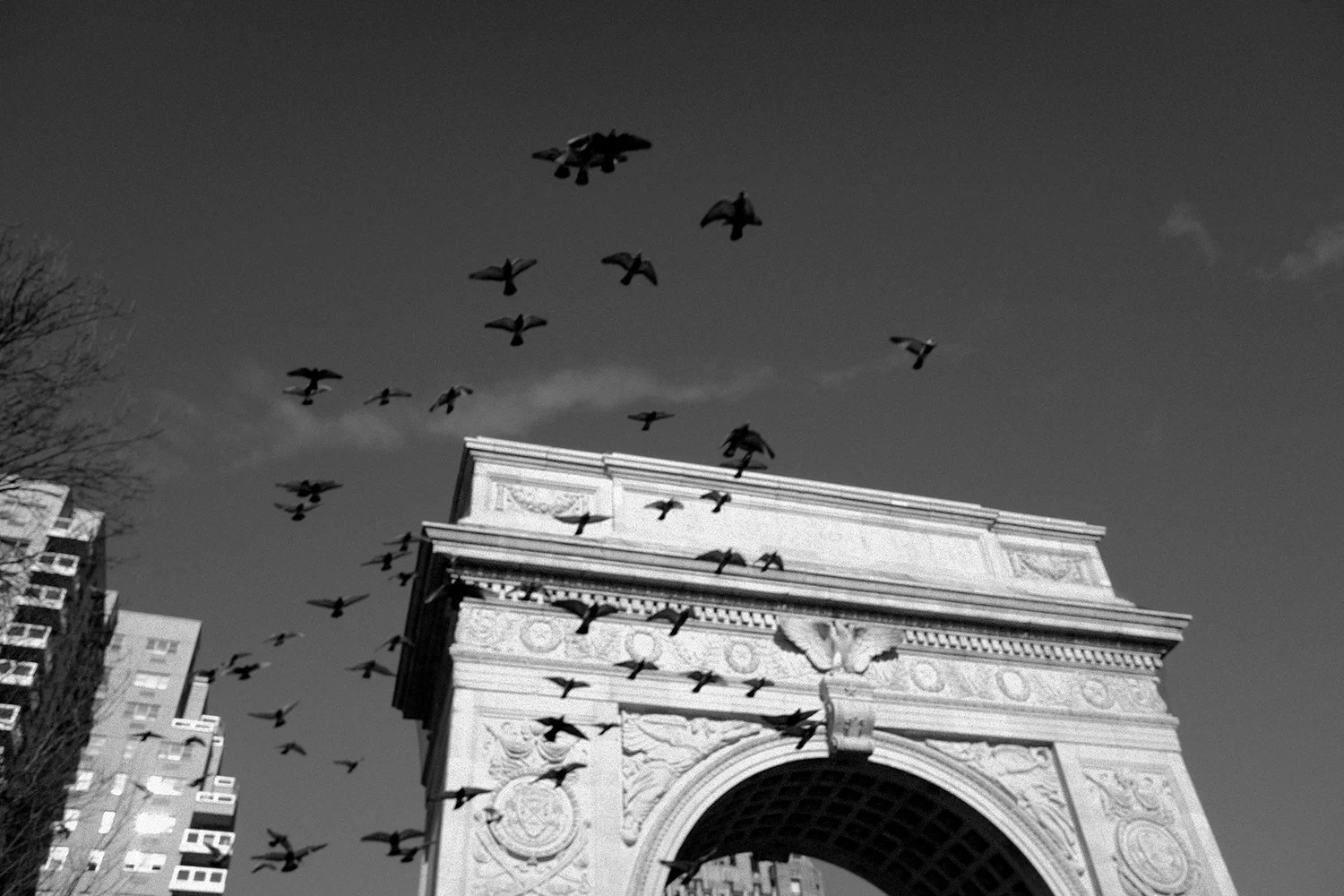 Fujifilm XF10 Review (2024): A Compact Camera with Potential, But Not ...