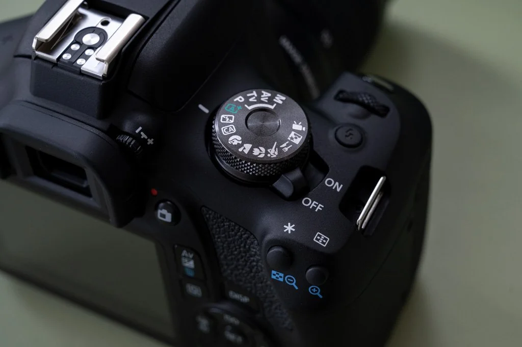 Canon EOS Rebel T7 Review (2025): The Perfect First Camera for ...