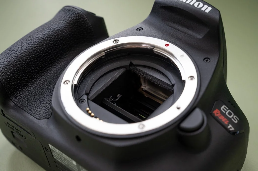 Canon EOS Rebel T7 Review (2025): The Perfect First Camera for ...