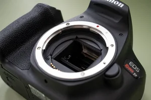 Canon EOS Rebel T7 Review (2025): The Perfect First Camera for ...
