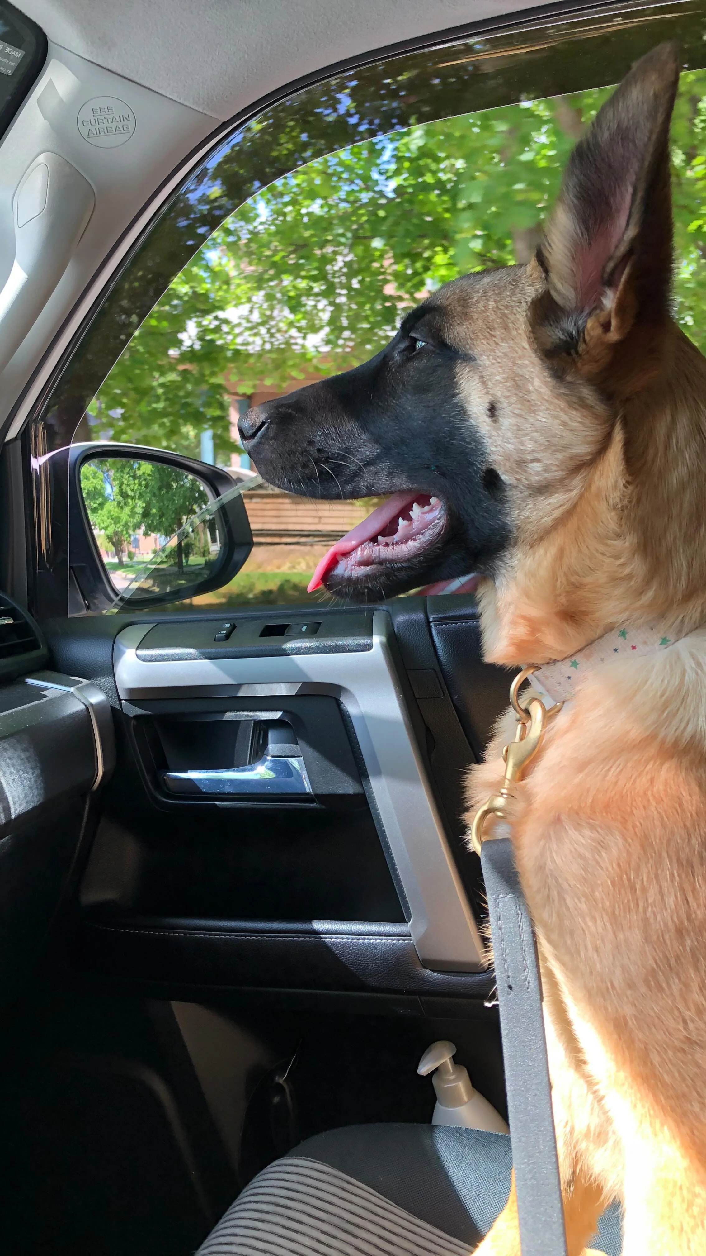 Utah K9 Academy