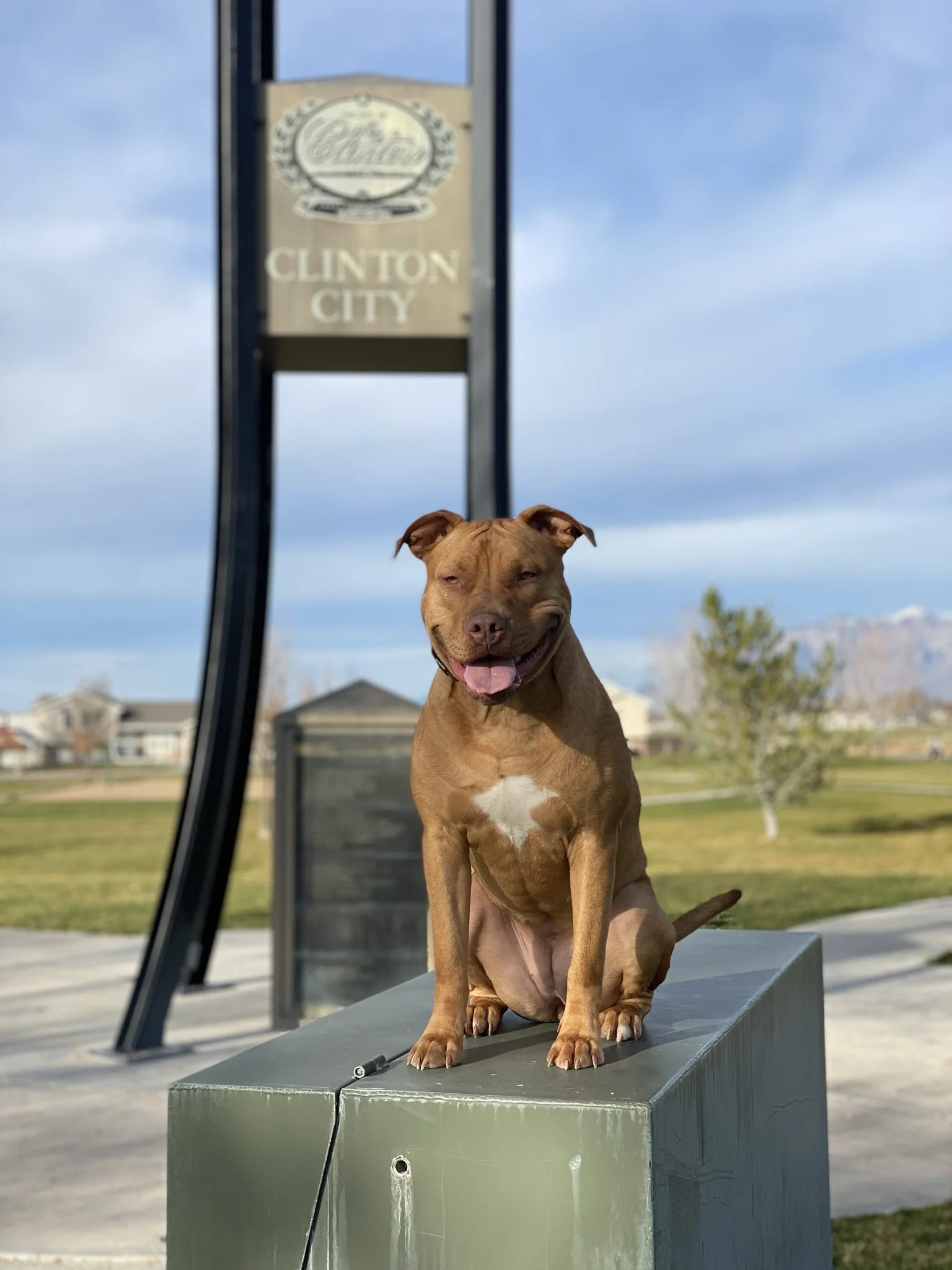 Utah K9 Academy