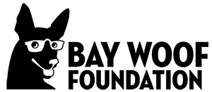 Free Feeding vs. Scheduled Feeding: Which is Better for Your Dog? — BAY ...